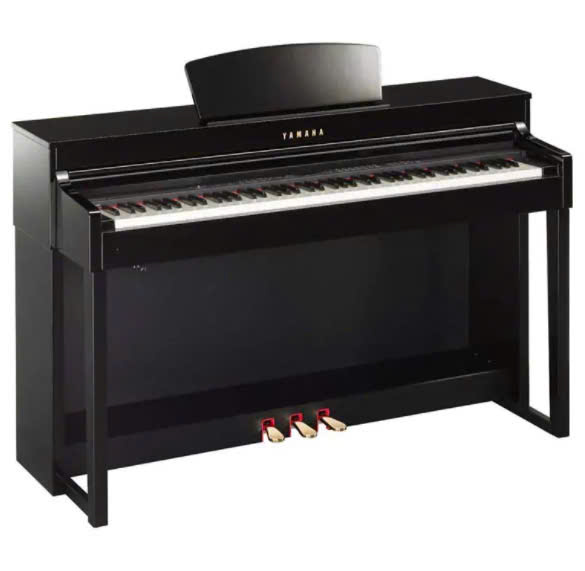 Nên Mua Piano Nào - Cho Người Mới Học? - skymusic.vn